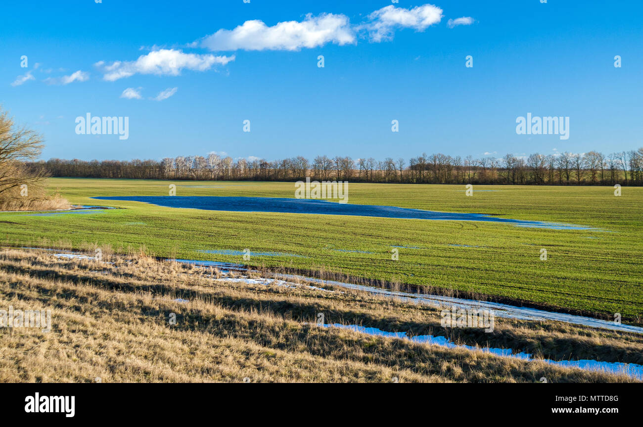 Corn field snow hi-res stock photography and images - Alamy