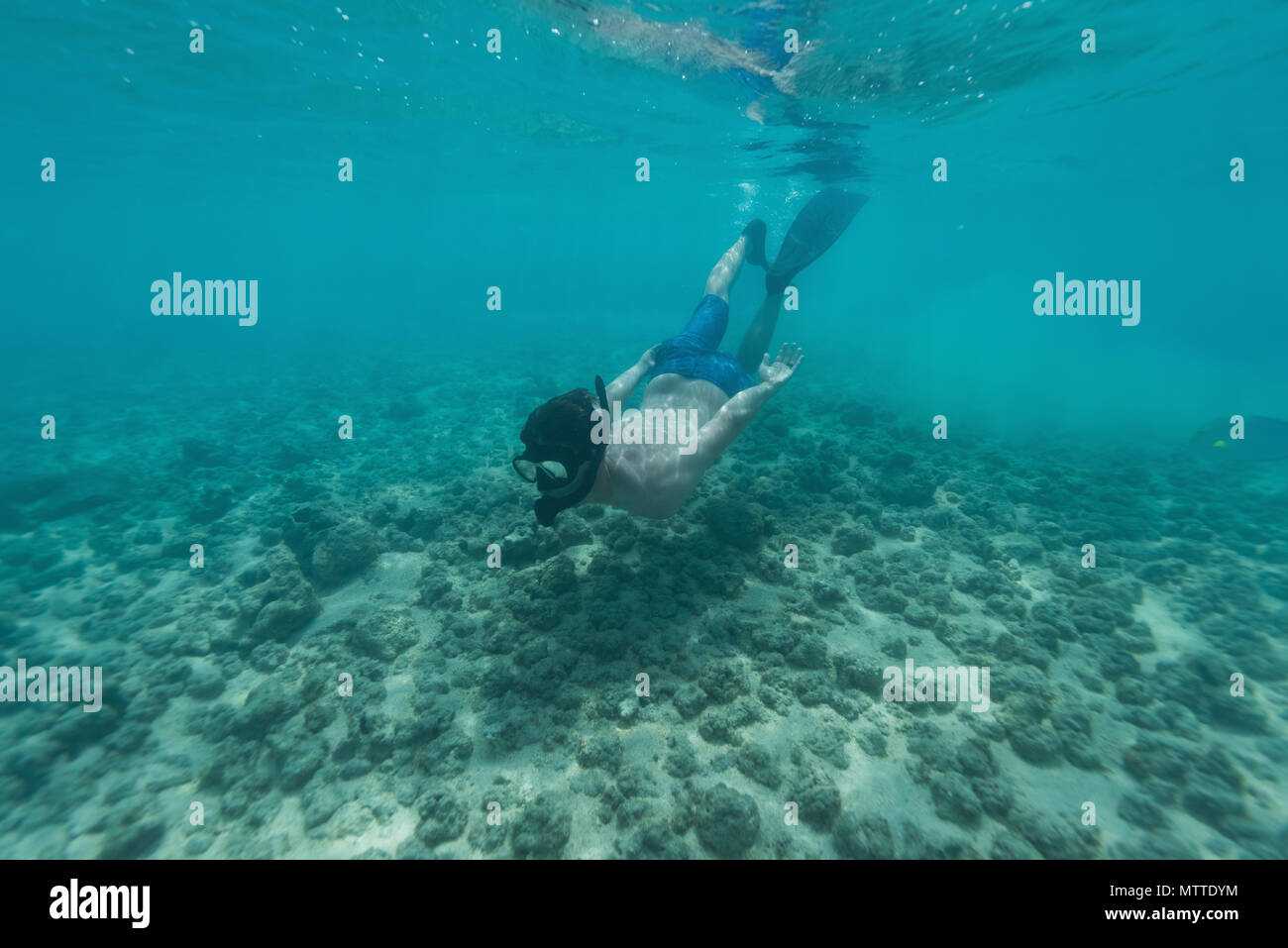 Man snorkeling underwater Stock Photo - Alamy