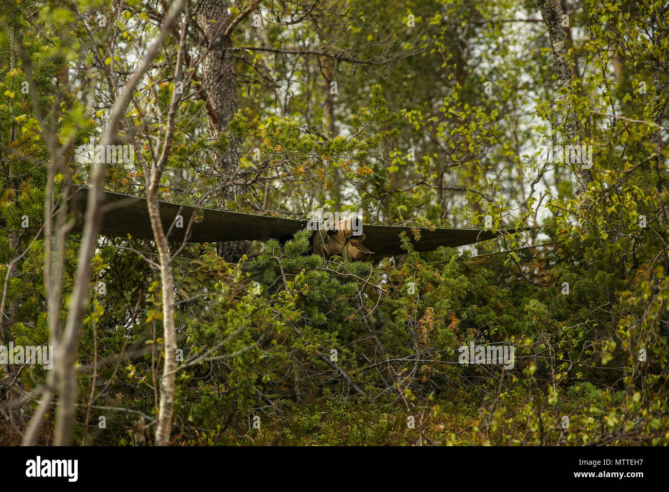 Norwegian Coastal Ranger Commandos (KJK) and U.S. Marines, with 1st ...