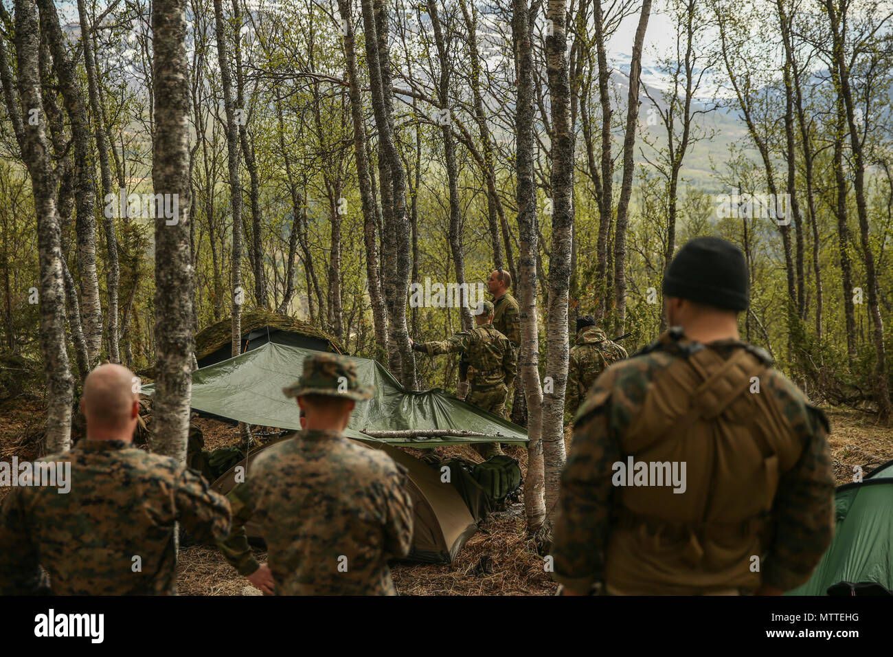 Coastal ranger commandos hi-res stock photography and images - Alamy