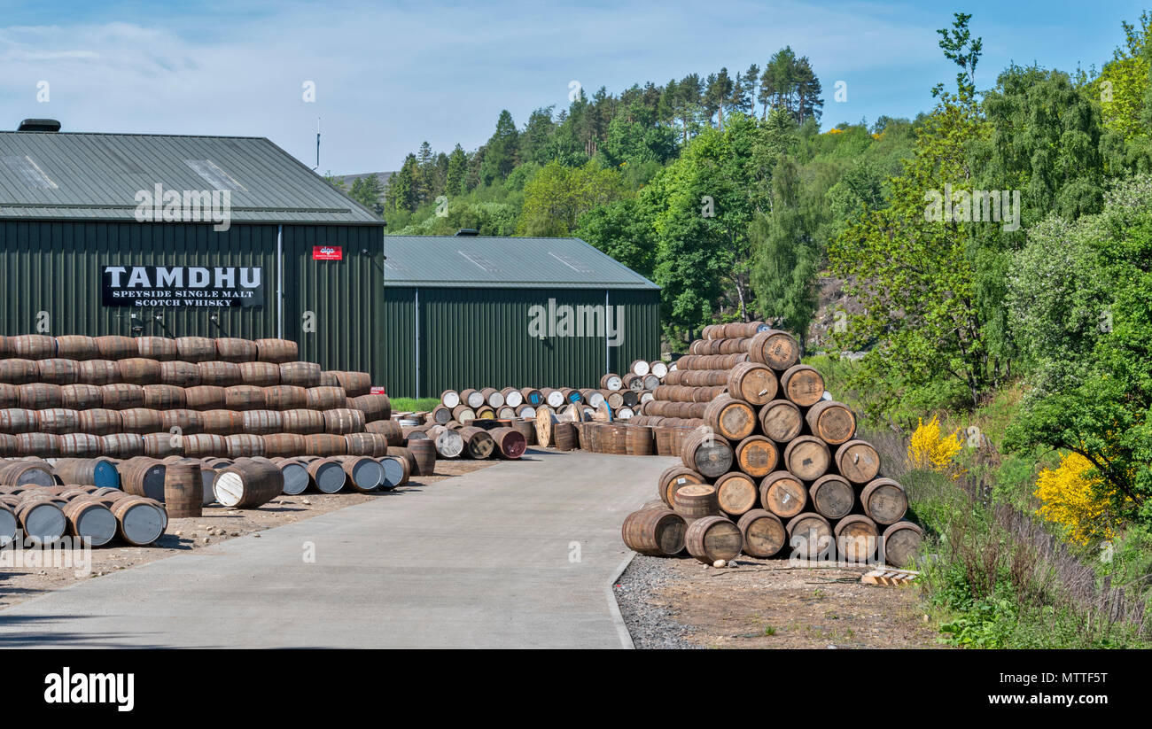 Whisky casks warehouse hi-res stock photography and images - Alamy