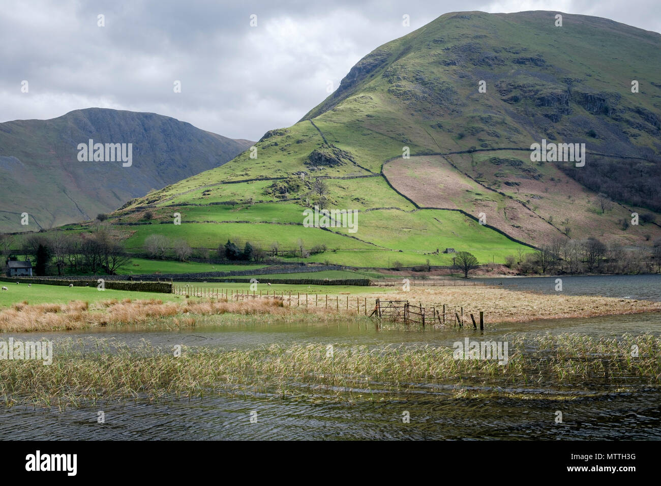 View over Brothers water, Lake District, England Stock Photo - Alamy