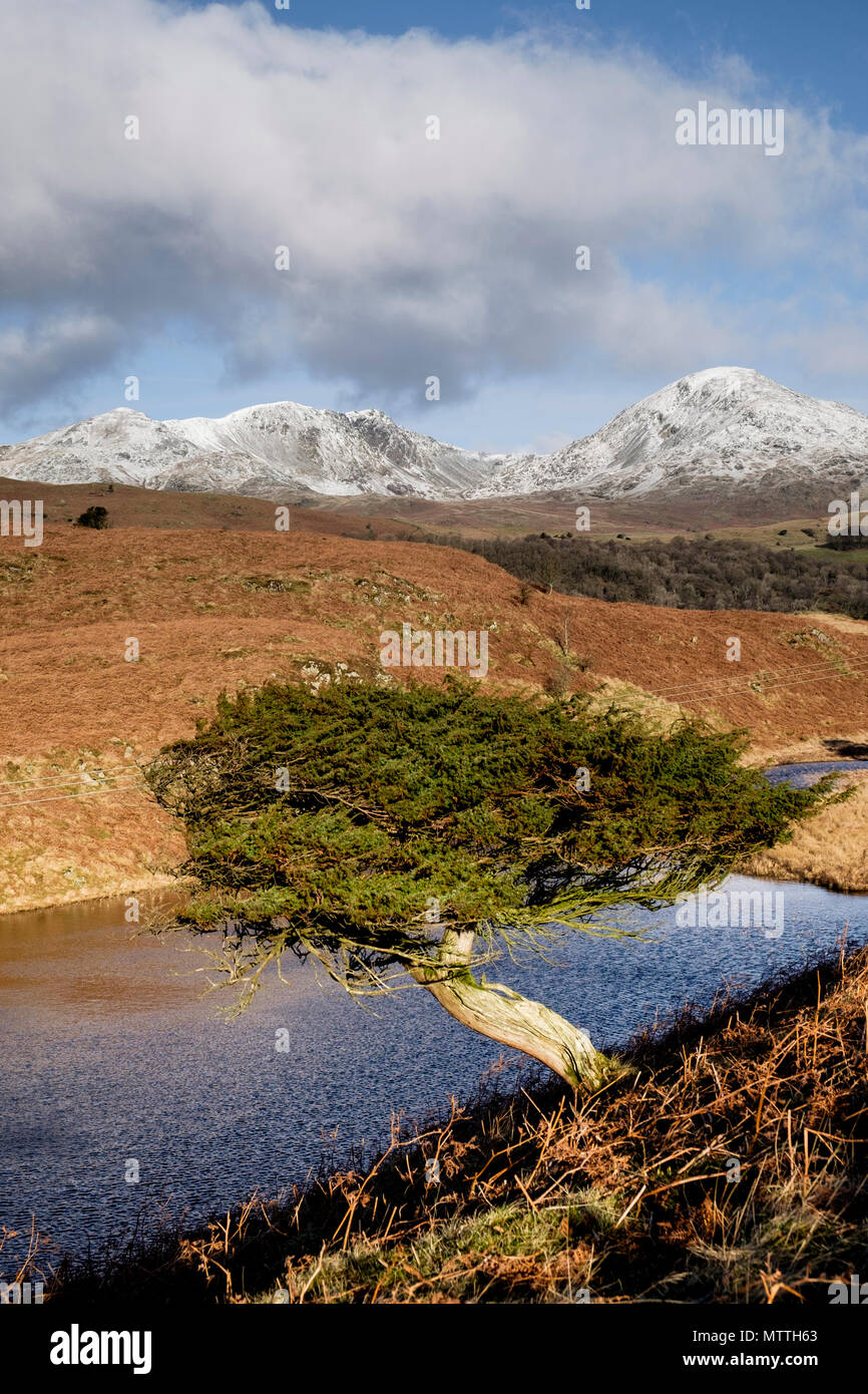 Coniston fells from Torver Common, Lake District, England Stock Photo ...