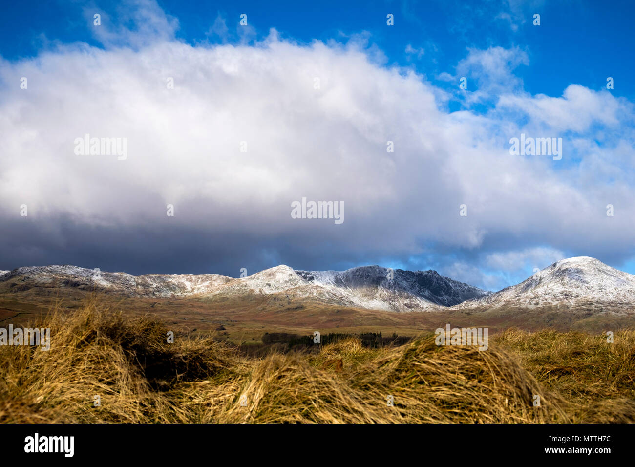 Coniston Range with snow from Torver Common, Lake District, England ...