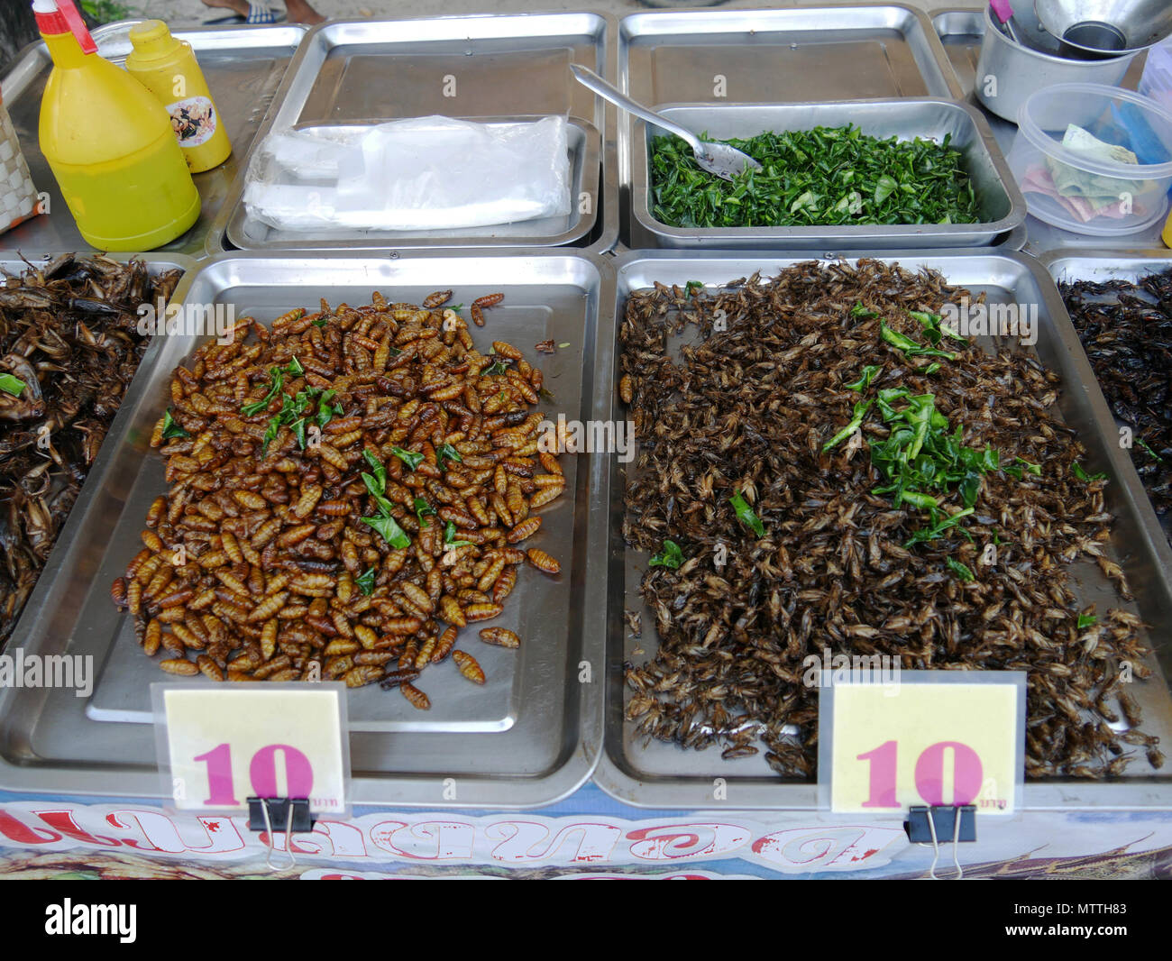 Strange food grasshopper fried hi-res stock photography and images - Alamy