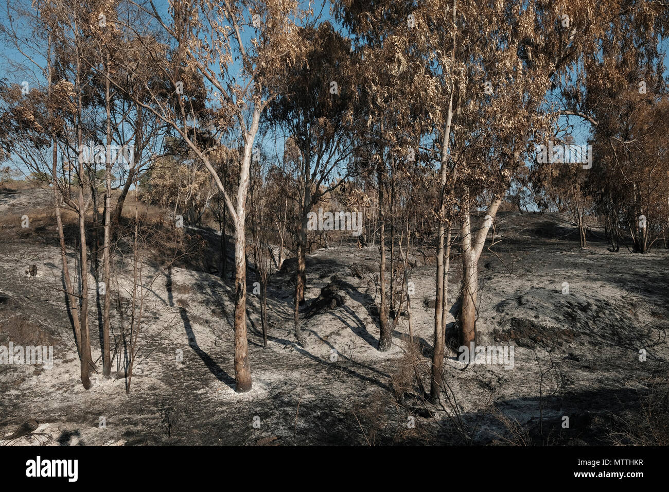 Kibbutz nir am hi-res stock photography and images - Alamy