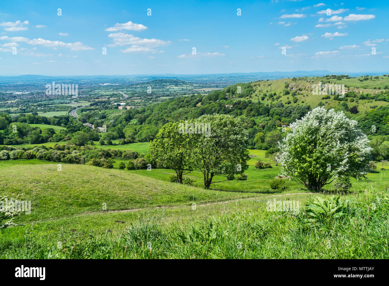 View from birdlip viewpoint hi-res stock photography and images - Alamy