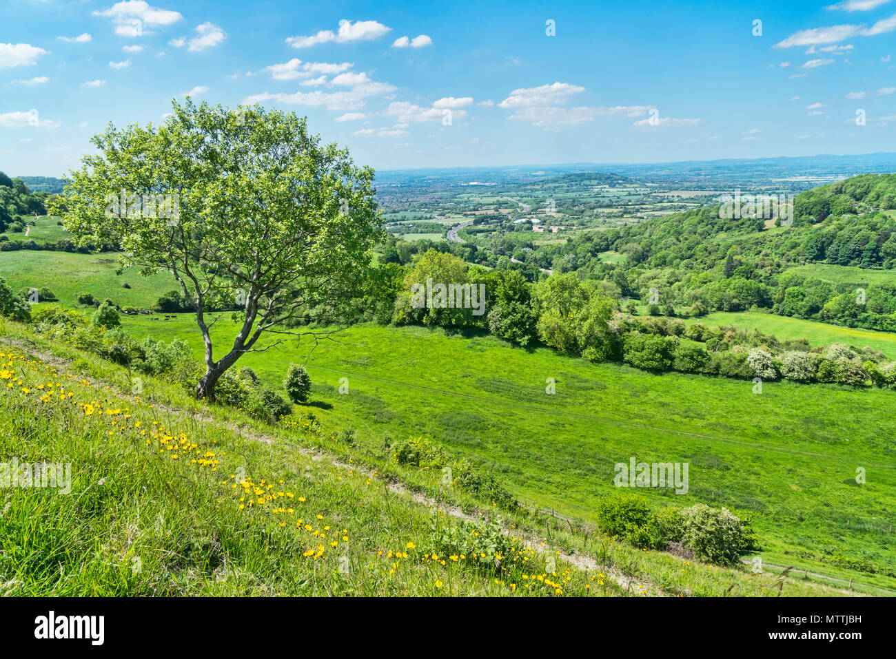 Birdlip hill hi-res stock photography and images - Alamy