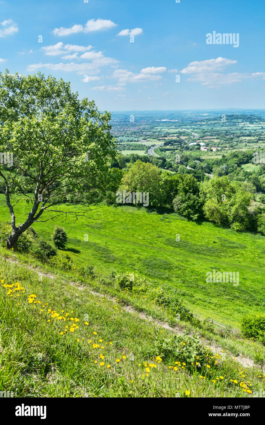View from birdlip viewpoint hi-res stock photography and images - Alamy