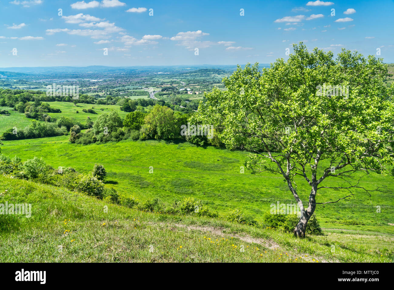 View to Crickley Hill and Severn vale from Barrow Wake viewpoint, near ...