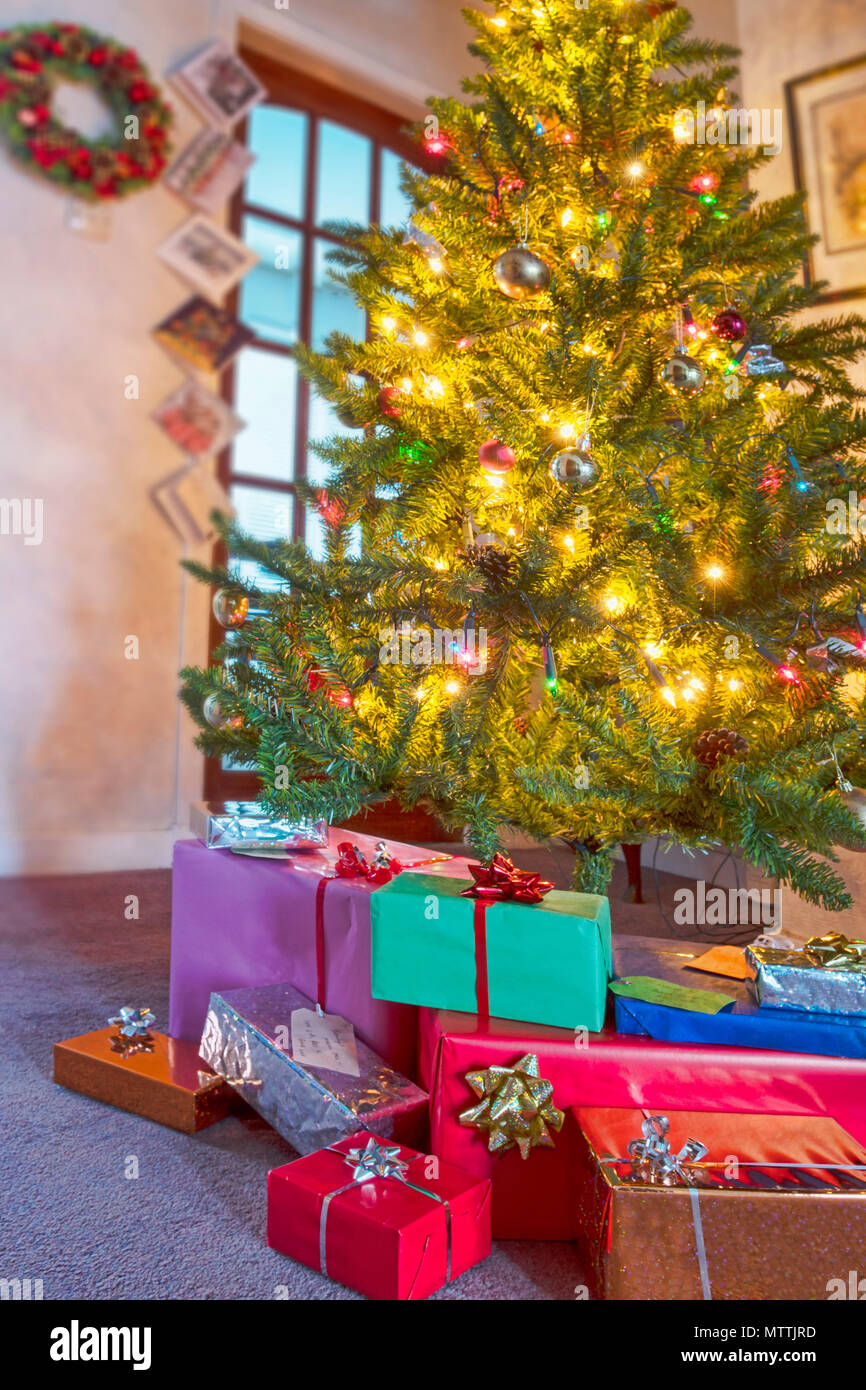 Scotland family tree hi-res stock photography and images - Alamy