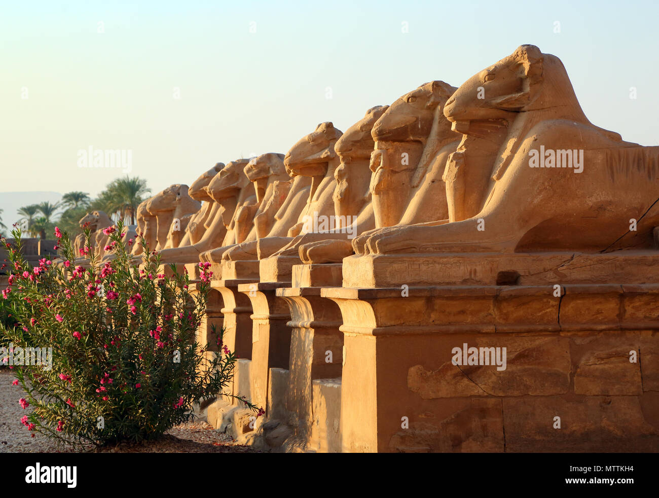 Sphinx sunset hi-res stock photography and images - Alamy
