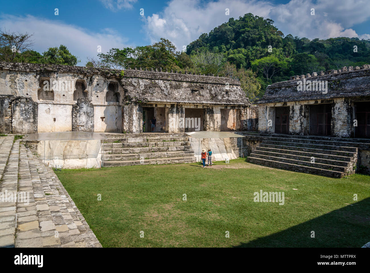 Ancient Mayan Palaces