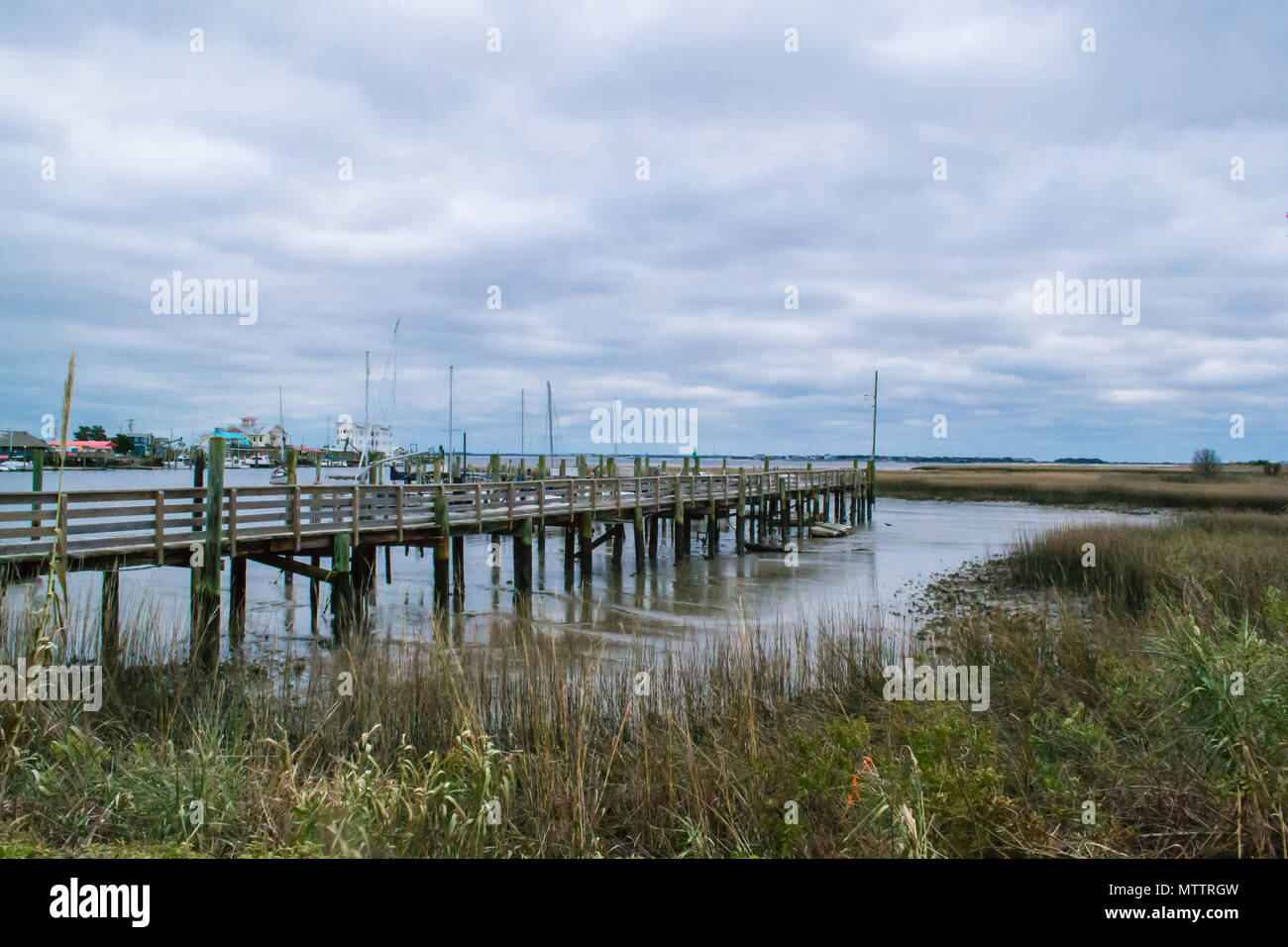 Scenes from the road. Travel and eat along the eastern coast of the ...
