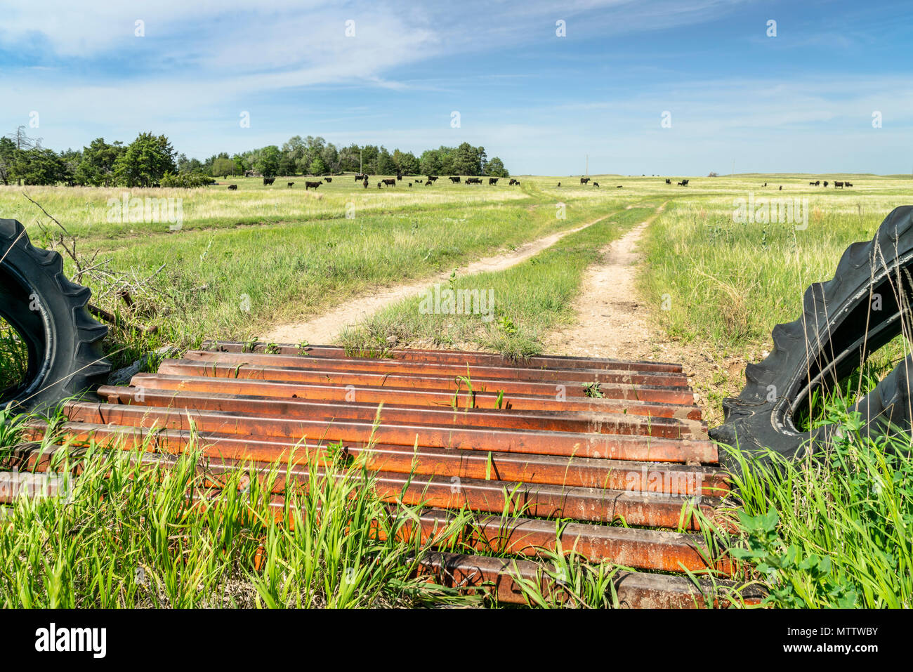 Cattle guard hi-res stock photography and images - Alamy