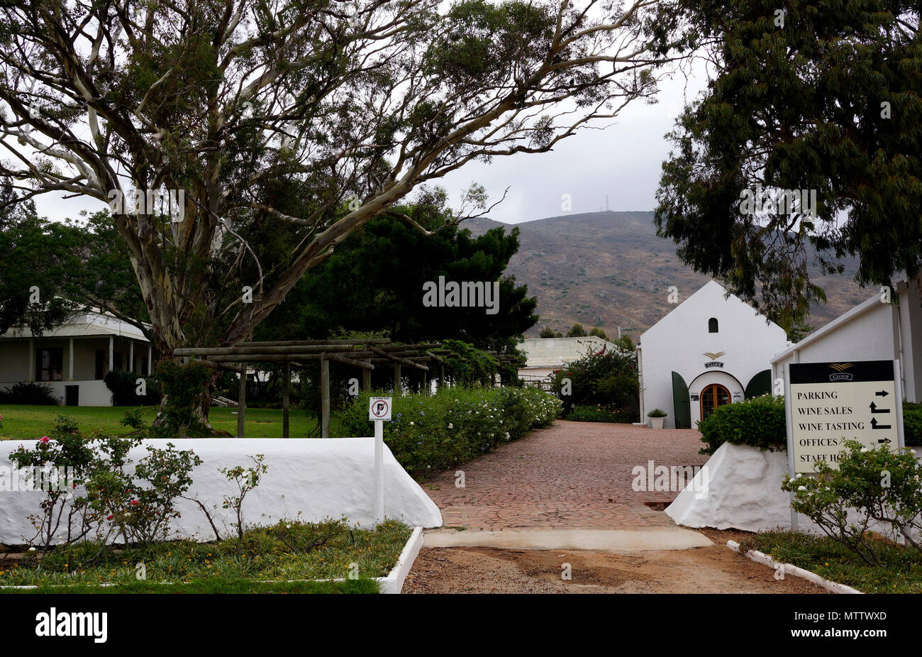 Cloof wine estate darling hi-res stock photography and images - Alamy