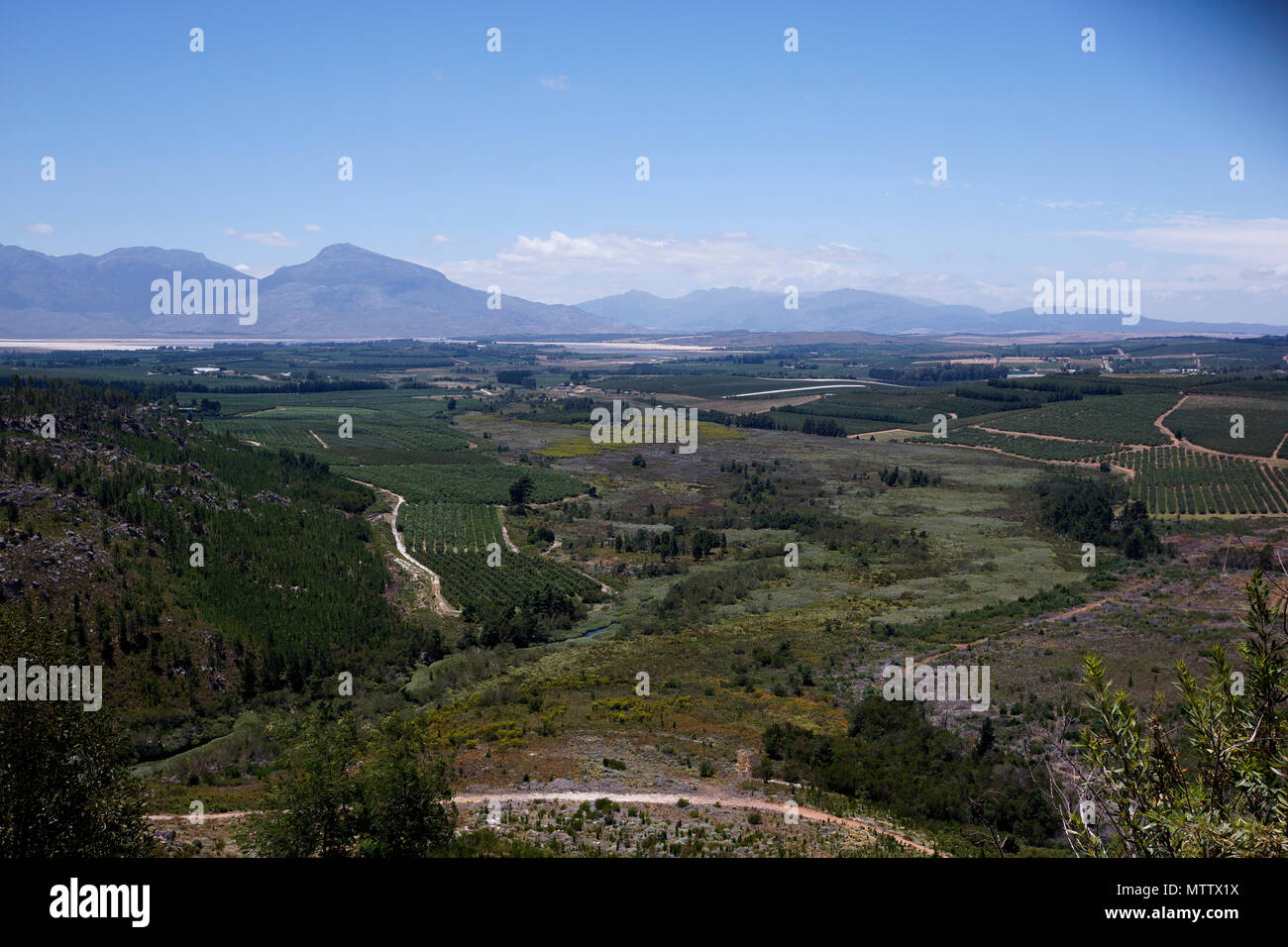 Breede River Valley High Resolution Stock Photography and Images - Alamy