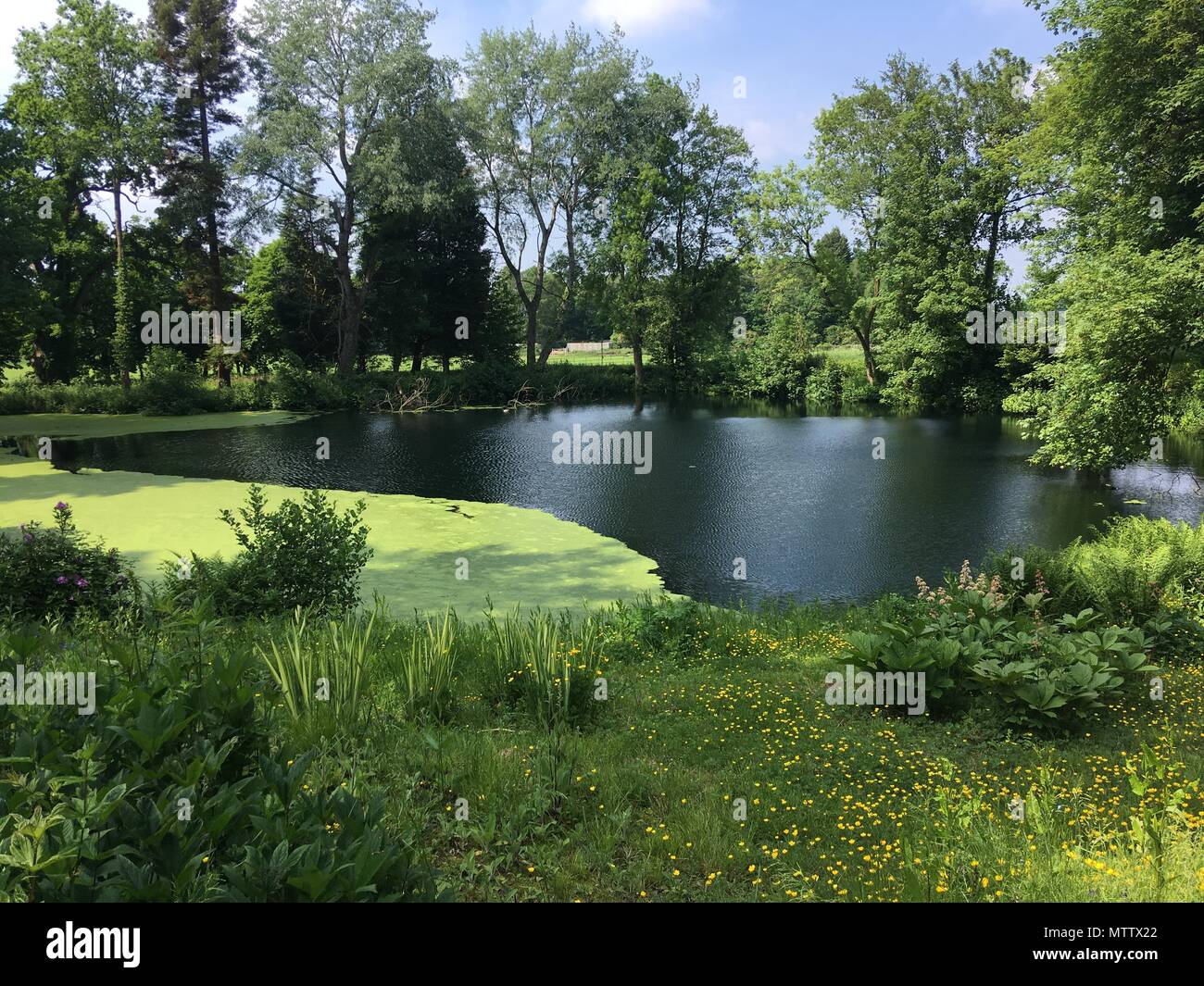 Weston-under-Lizard, England, 29th, May, 2018. Weston Park Stately ...