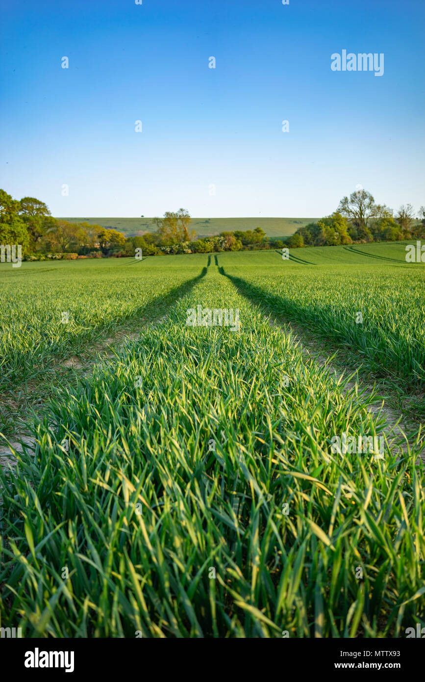 Rural landscape scene in West Sussex near Pulborough at dusk Stock ...