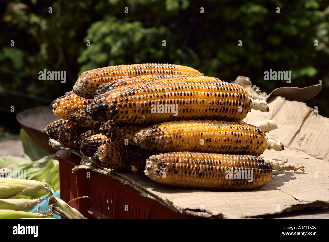 Testy indian food hi-res stock photography and images - Alamy