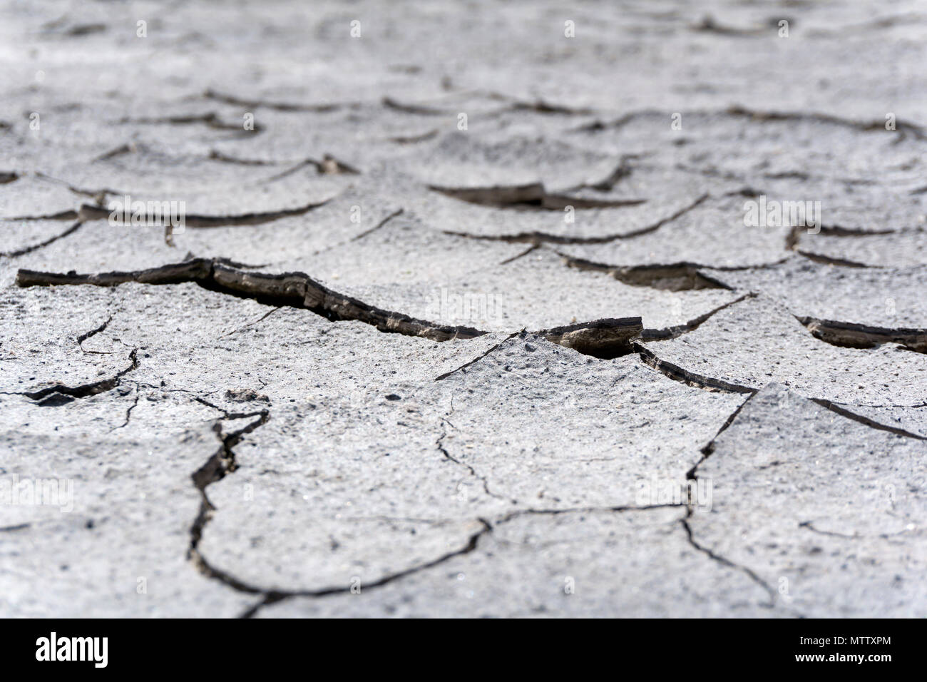 background - cracked dry sun-dried clay crust in a waterless desert ...