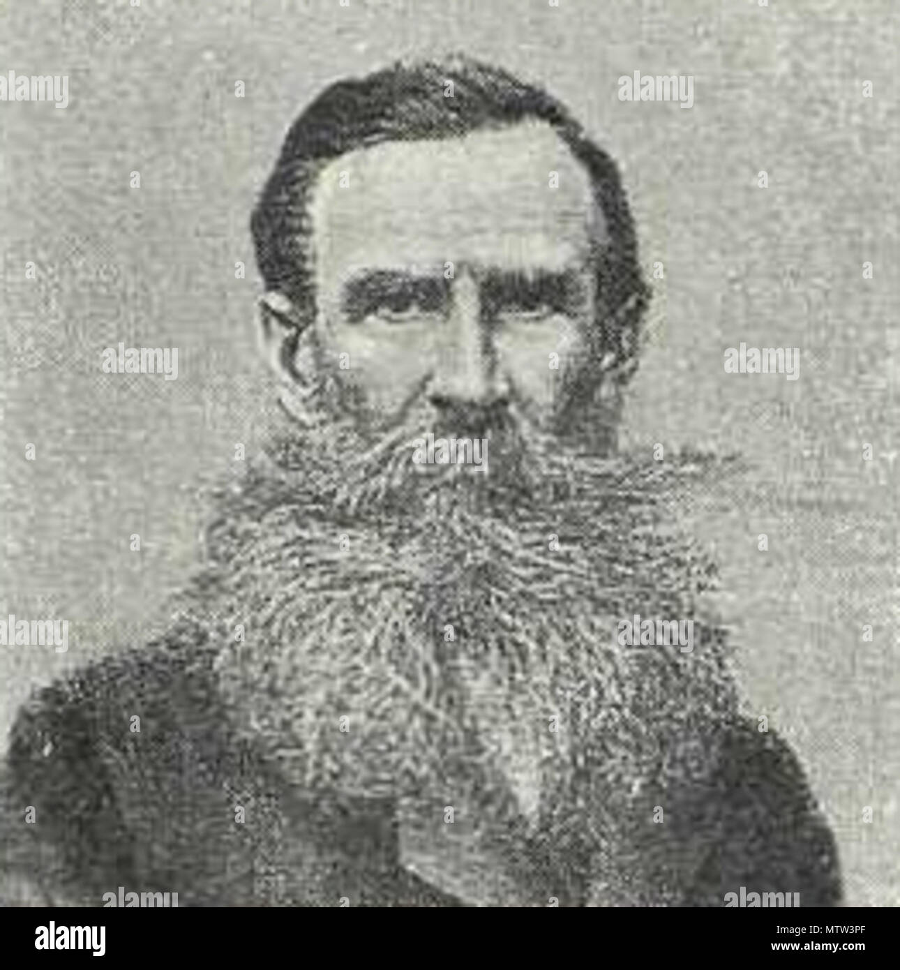 . Nikolay Berg (1823—1884) . before 1884. Anonymous plate 445 Nikolay ...