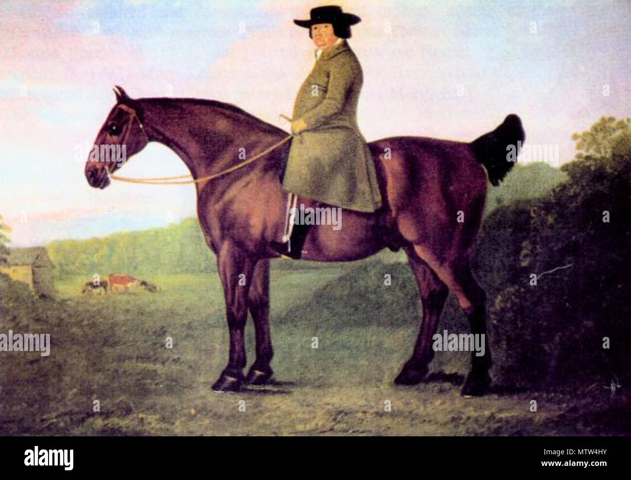 Robert bakewell hi-res stock photography and images - Alamy