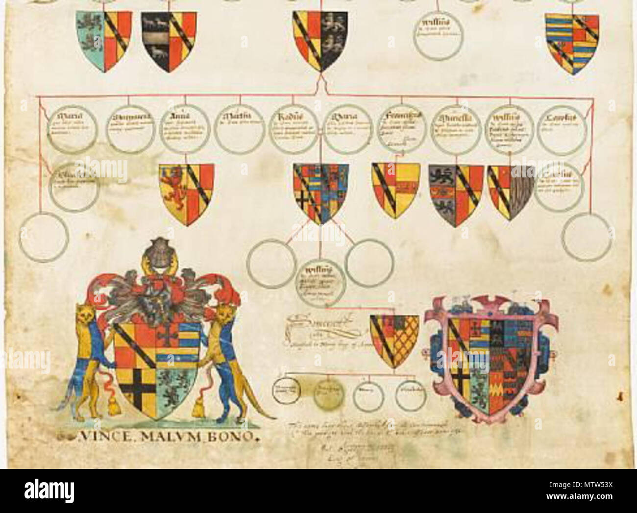 . An Illuminated Elizabethan pedigree of the de Euro family of ...