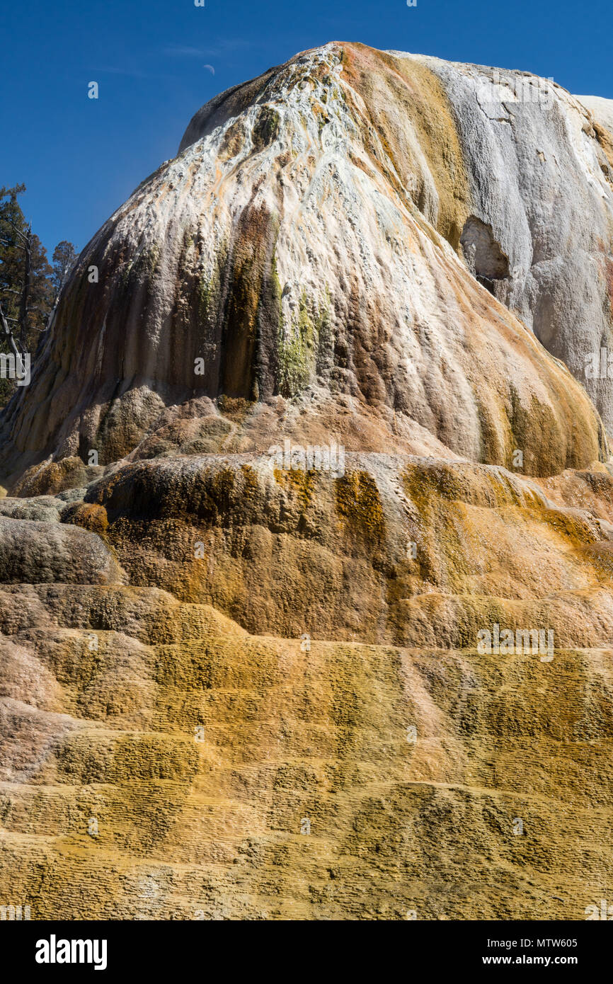 Orange Mound Spring at Mammoth Hot Springs in Yellowstone National Park ...
