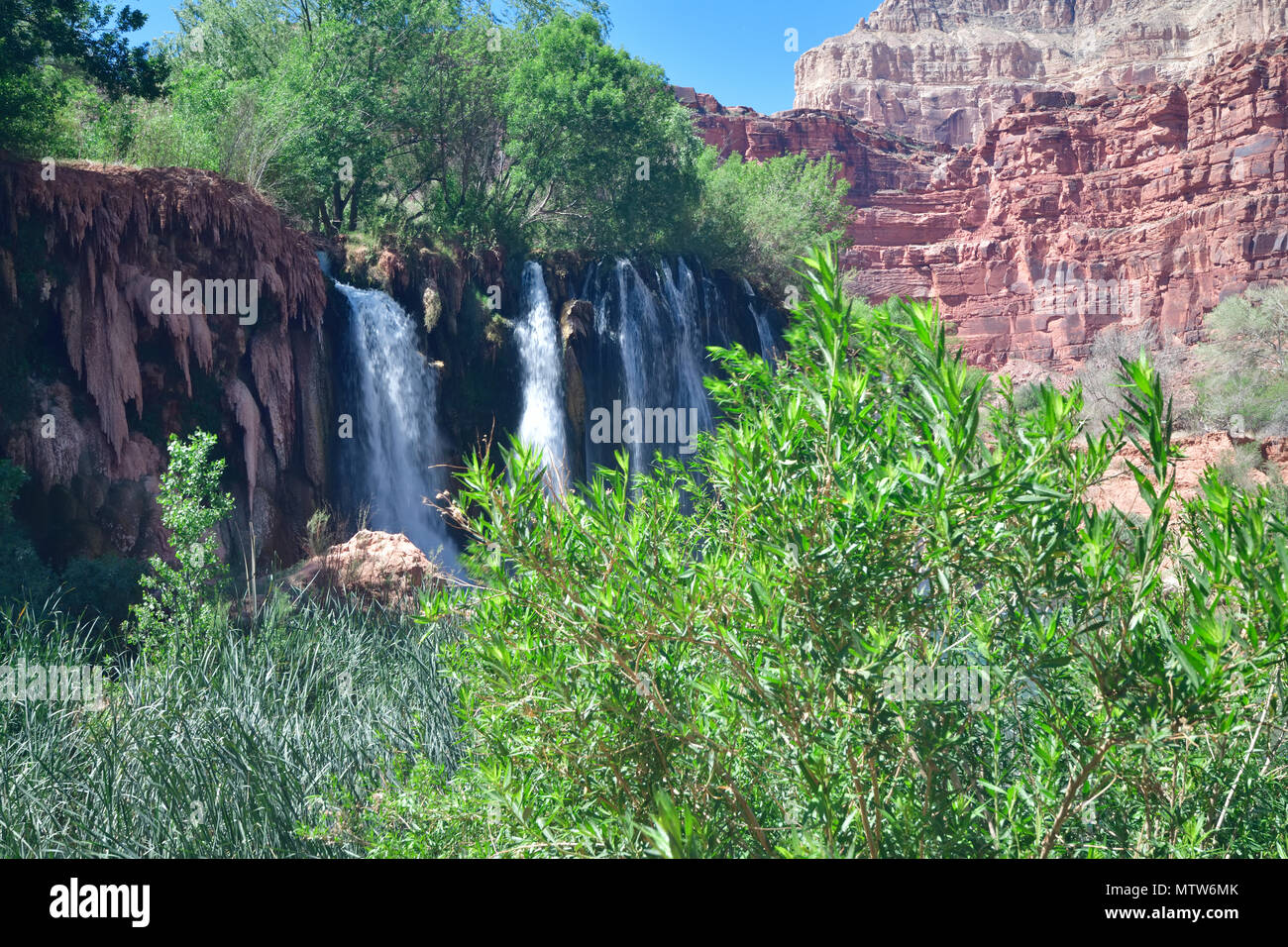 Fifty feet hi-res stock photography and images - Alamy