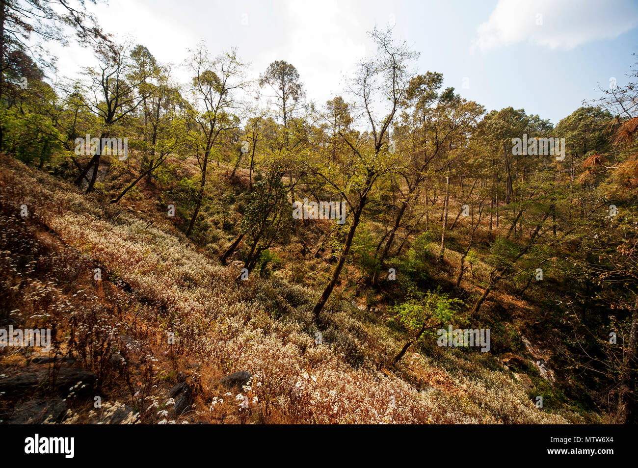 Valley where Jim Corbett shot the Chowgarh maneating tigress, Kala Agar ...
