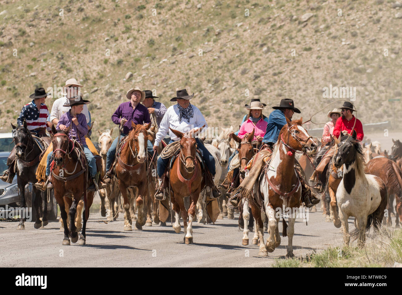 Montana horse drive gardiner hi-res stock photography and images - Alamy