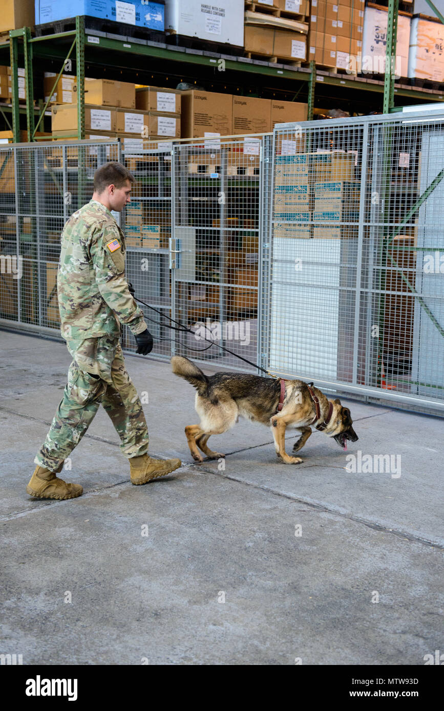 U.S. Army Sgt. Brandon Meyer and Meki, assigned to the 100th Military ...