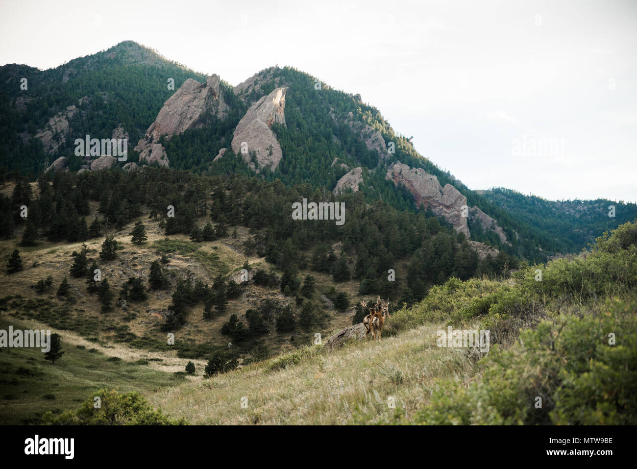 Colorado front range trail hi-res stock photography and images - Alamy