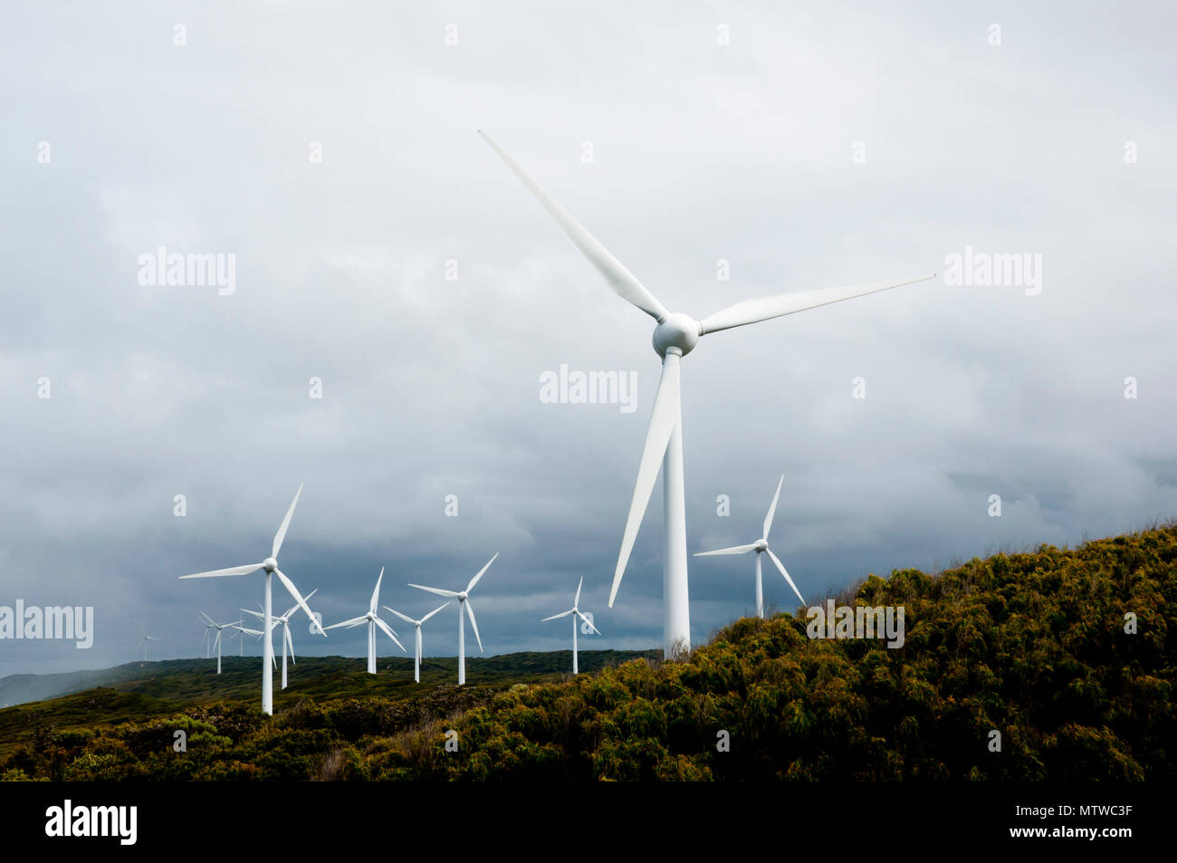 Albany Wind Farm - Australia Stock Photo - Alamy