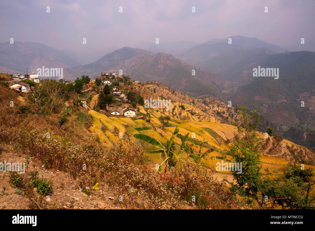 Chamoli Village, Kumaon Hills, Uttarakhand, India Stock Photo - Alamy