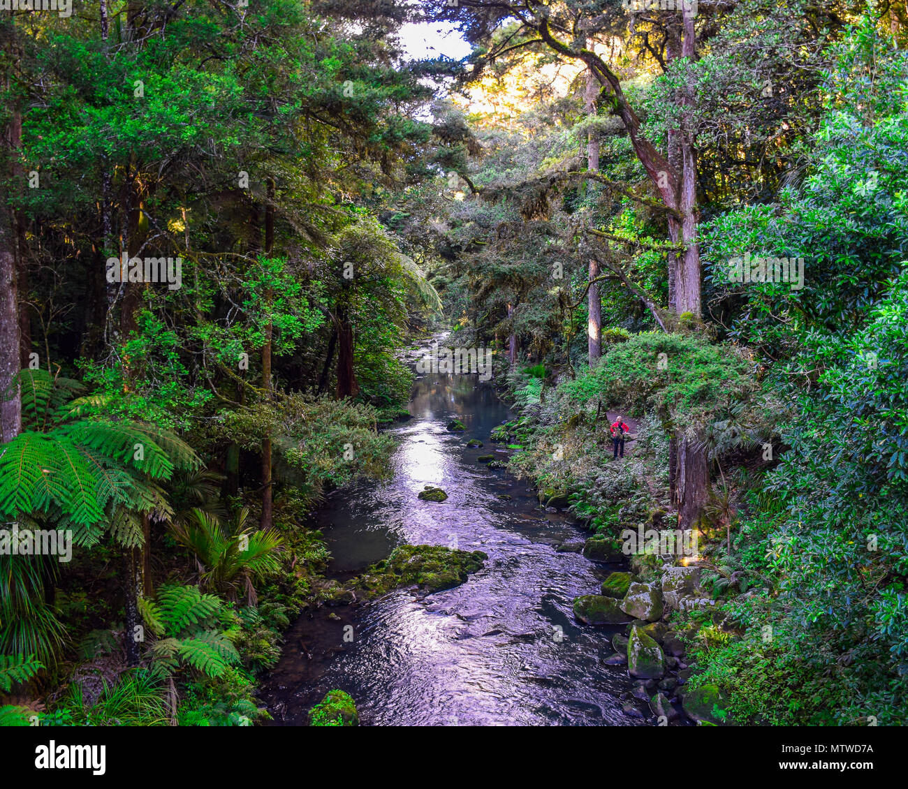 Looking downstream from hi-res stock photography and images - Alamy