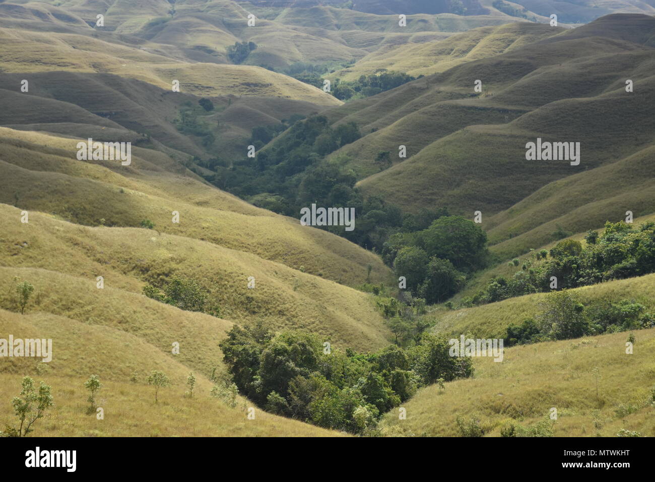 Scenery of Warinding Hills, in East Sumba Stock Photo - Alamy
