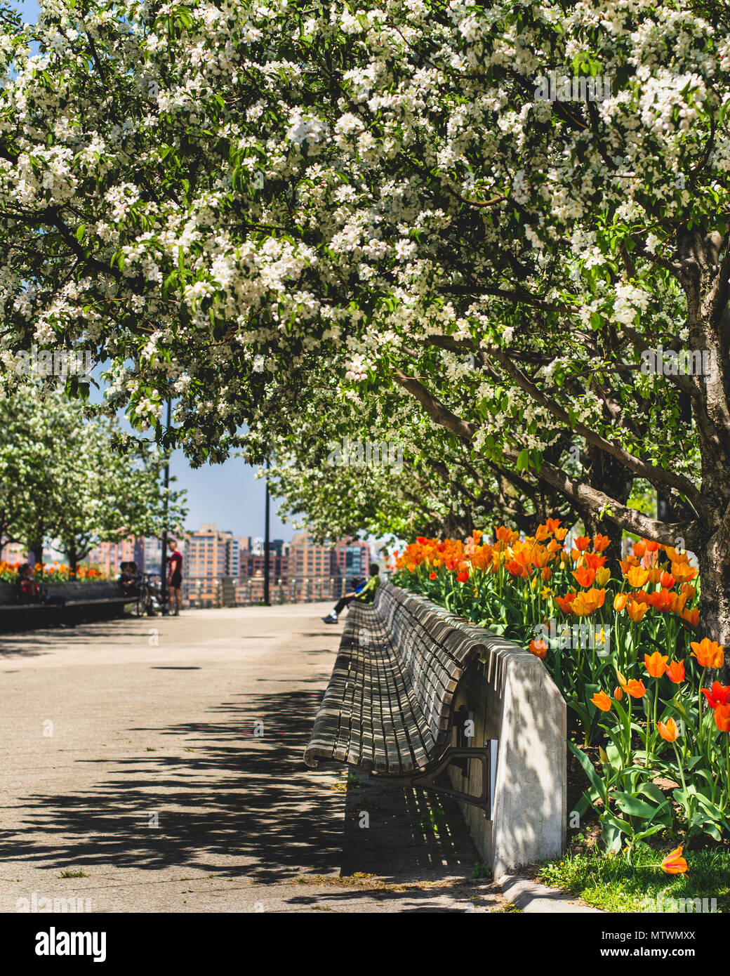 Red bench japanese garden hi-res stock photography and images - Alamy