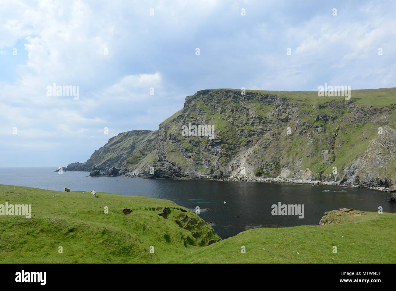 Fitful head and Garths Ness in Shetland the bay that the MV Braer oil ...
