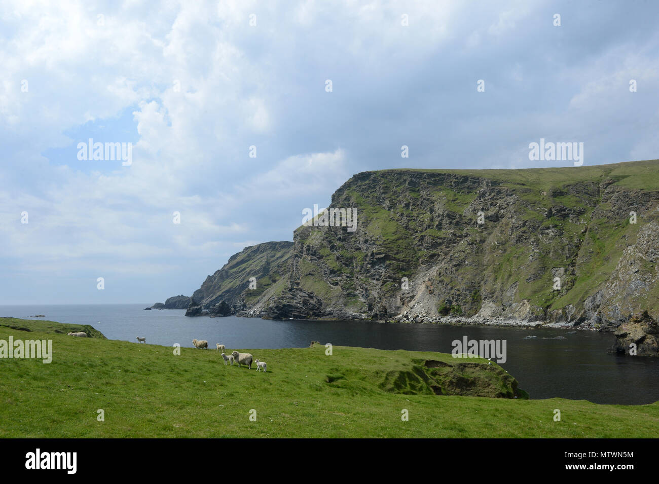 Fitful head and Garths Ness in Shetland the bay that the MV Braer oil ...
