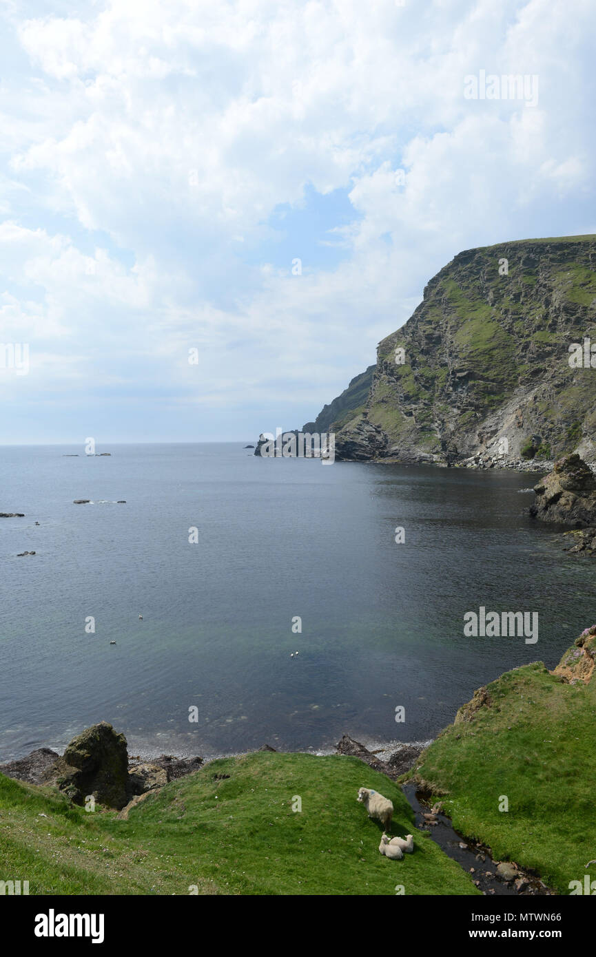 Fitful head hi-res stock photography and images - Alamy
