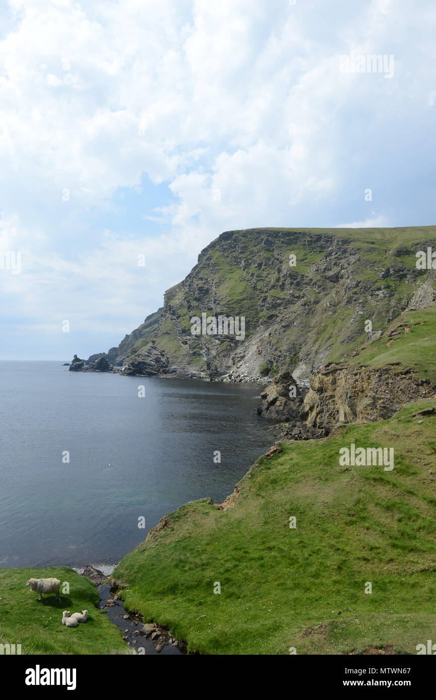 Fitful head and Garths Ness in Shetland the bay that the MV Braer oil ...