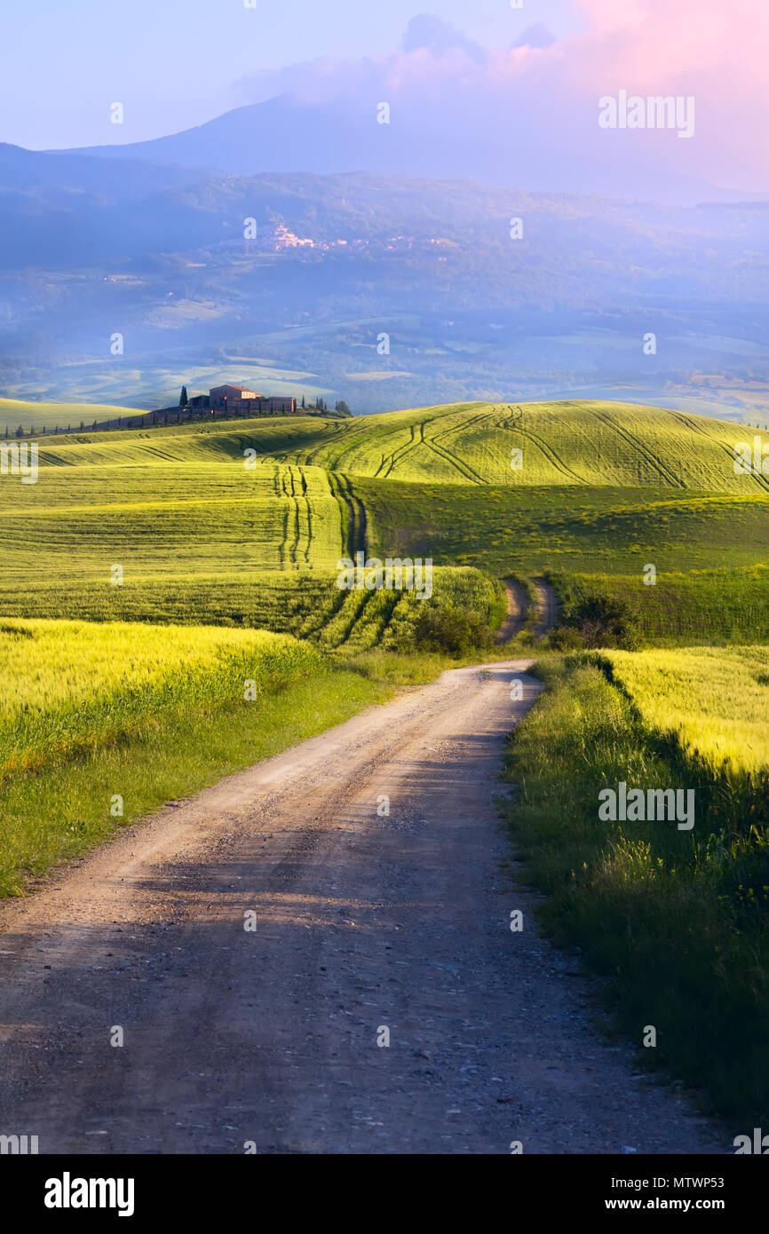 italy tuscany countryside; farm land and country road to the villa ...