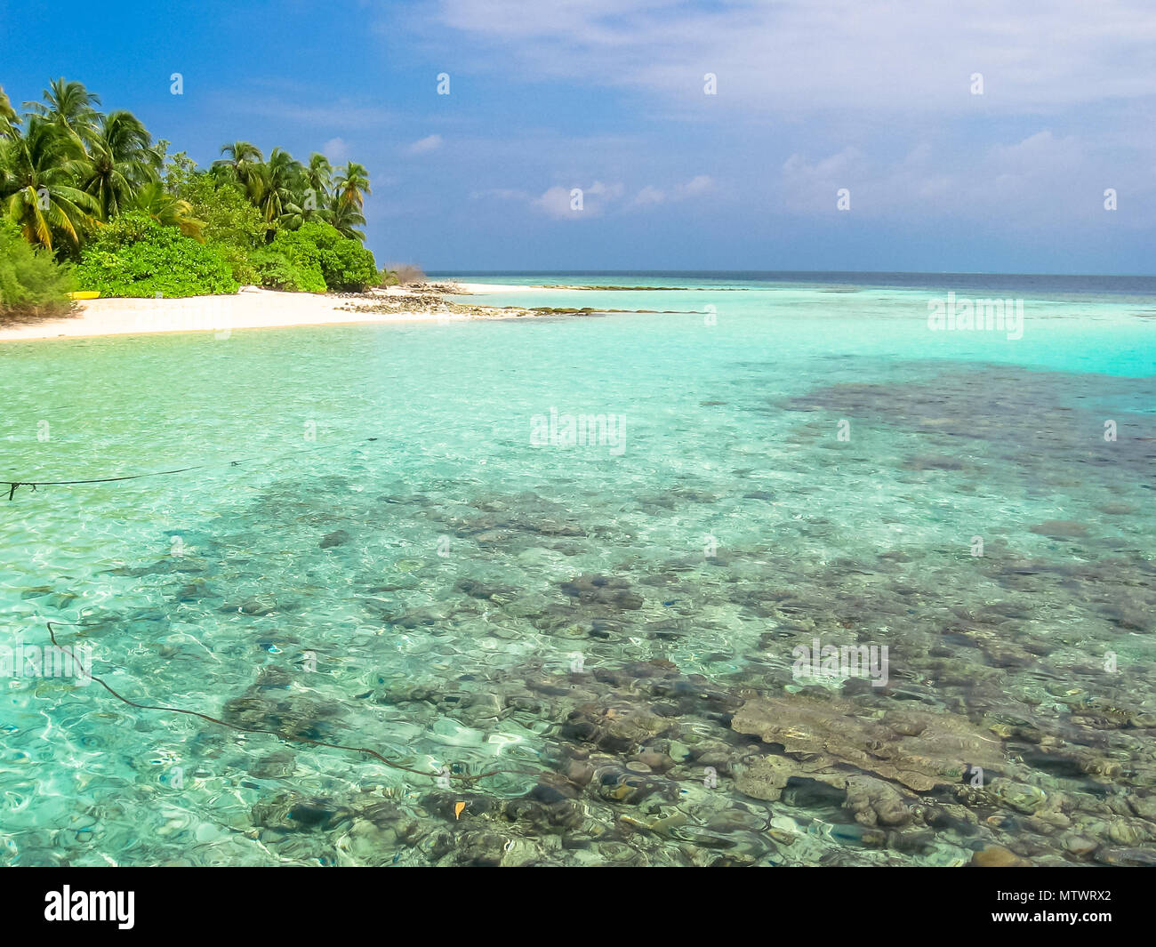 Maldives, Indian Ocean. Palm trees on the white sand beach. Turquoise ...