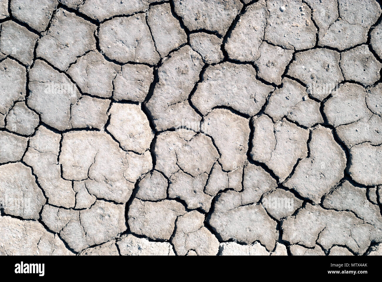 Saline soil hi-res stock photography and images - Alamy