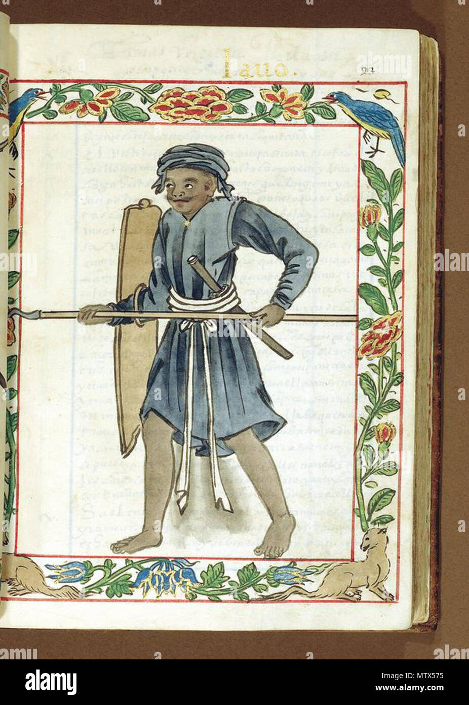 Boxer codex hi-res stock photography and images - Alamy