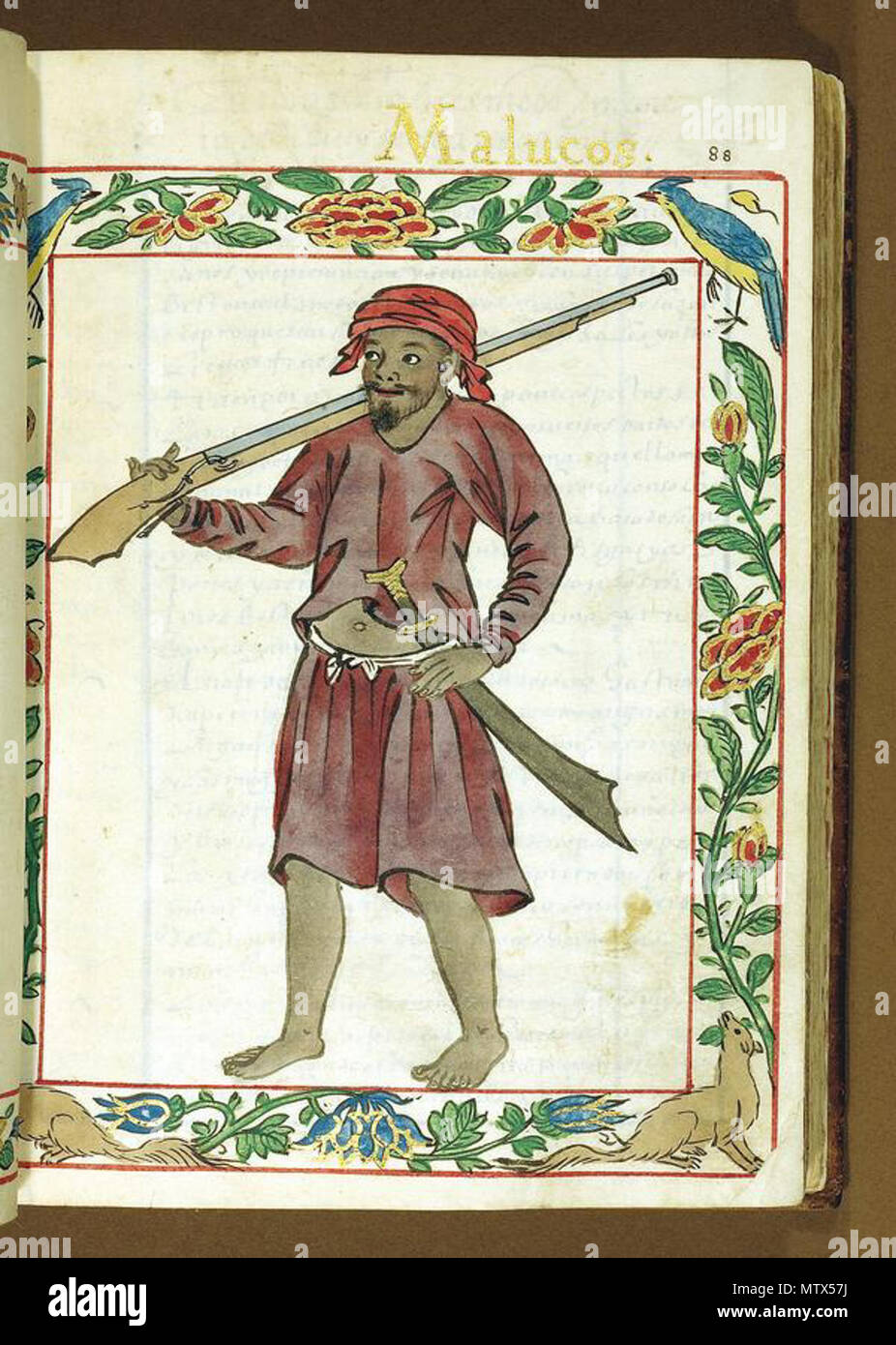 . English: Malacca Warrior (Malay) with a gun and . 3 February 2012 ...