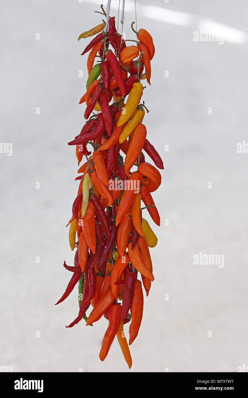 Spicy Hot Chili Peppers Hanging at String Stock Photo - Alamy