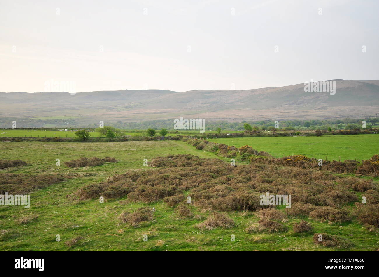 Preseli hills summer hi-res stock photography and images - Alamy